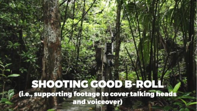 11 Best Online Videography Courses - Learnopoly