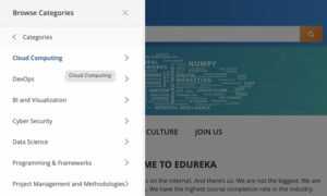 Edureka Review - Is Edureka Worth It? (2025) - Learnopoly