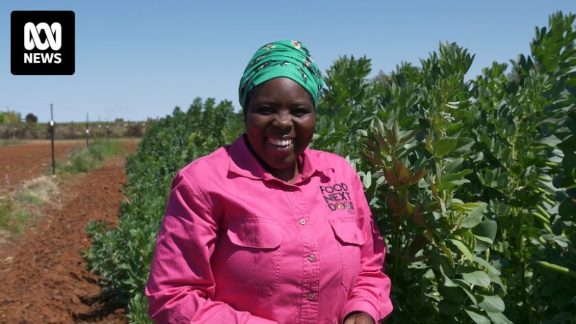 The Migrant Pilot Program Helps Women In Regional Australia Develop ...